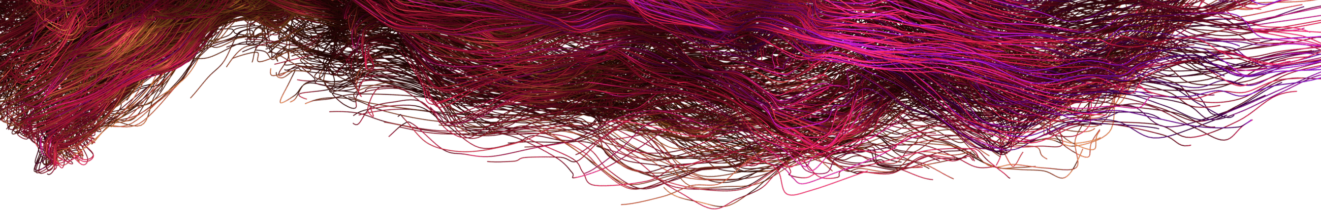 Nexus - Launch by NTT DATA