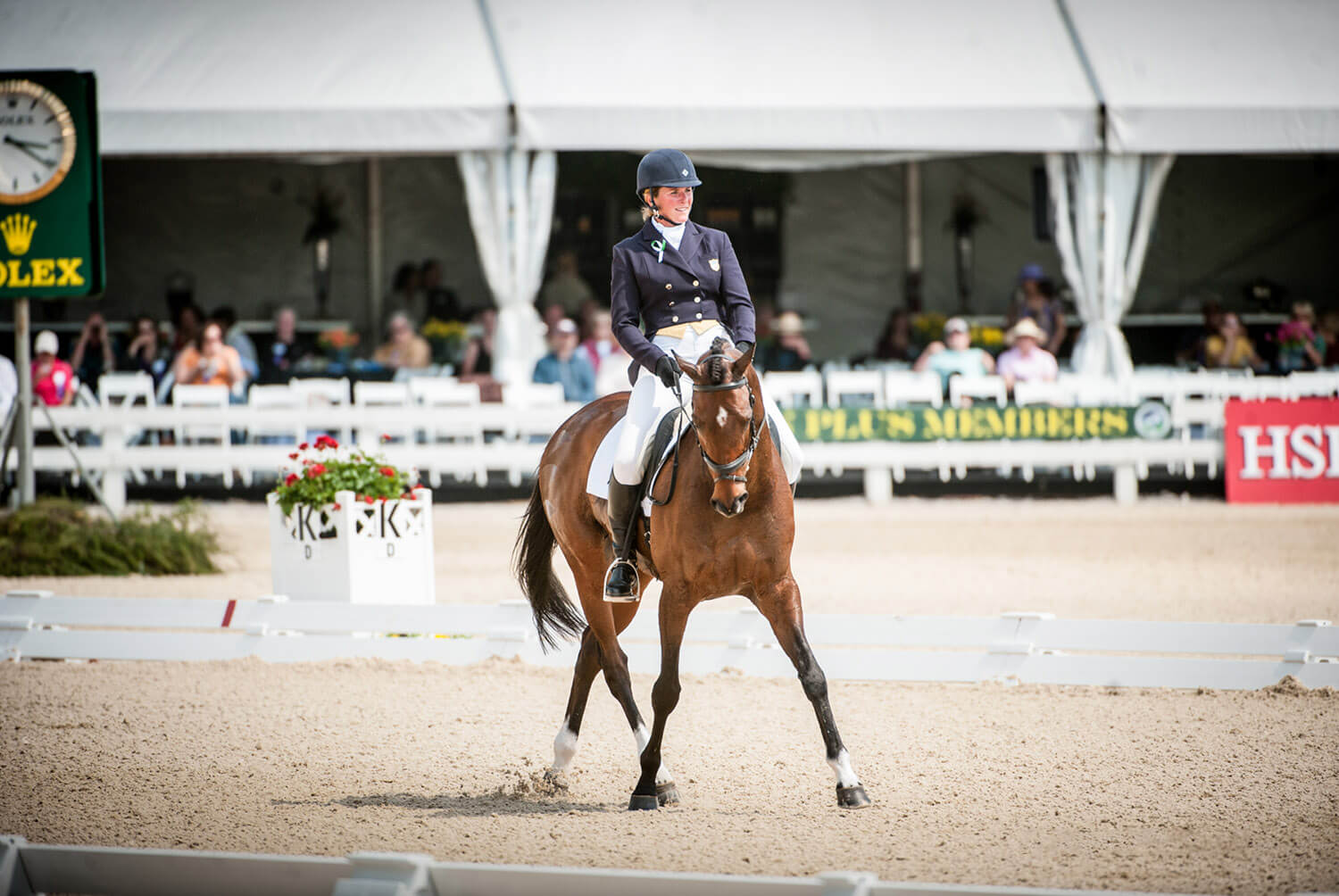 Expert Tips on Horse Training & Jumping | Ep 2 Office Hours | Ride iQ