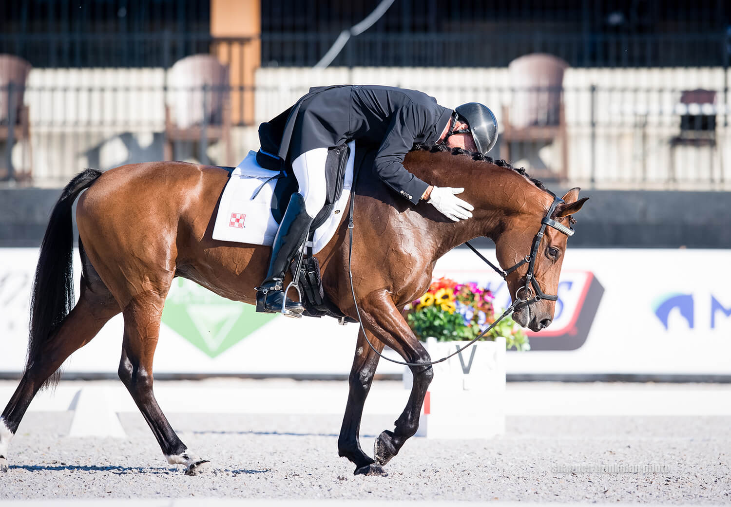 Horse Training Tips & Expert Insights | Ride iQ Ep. 9 Office Hours