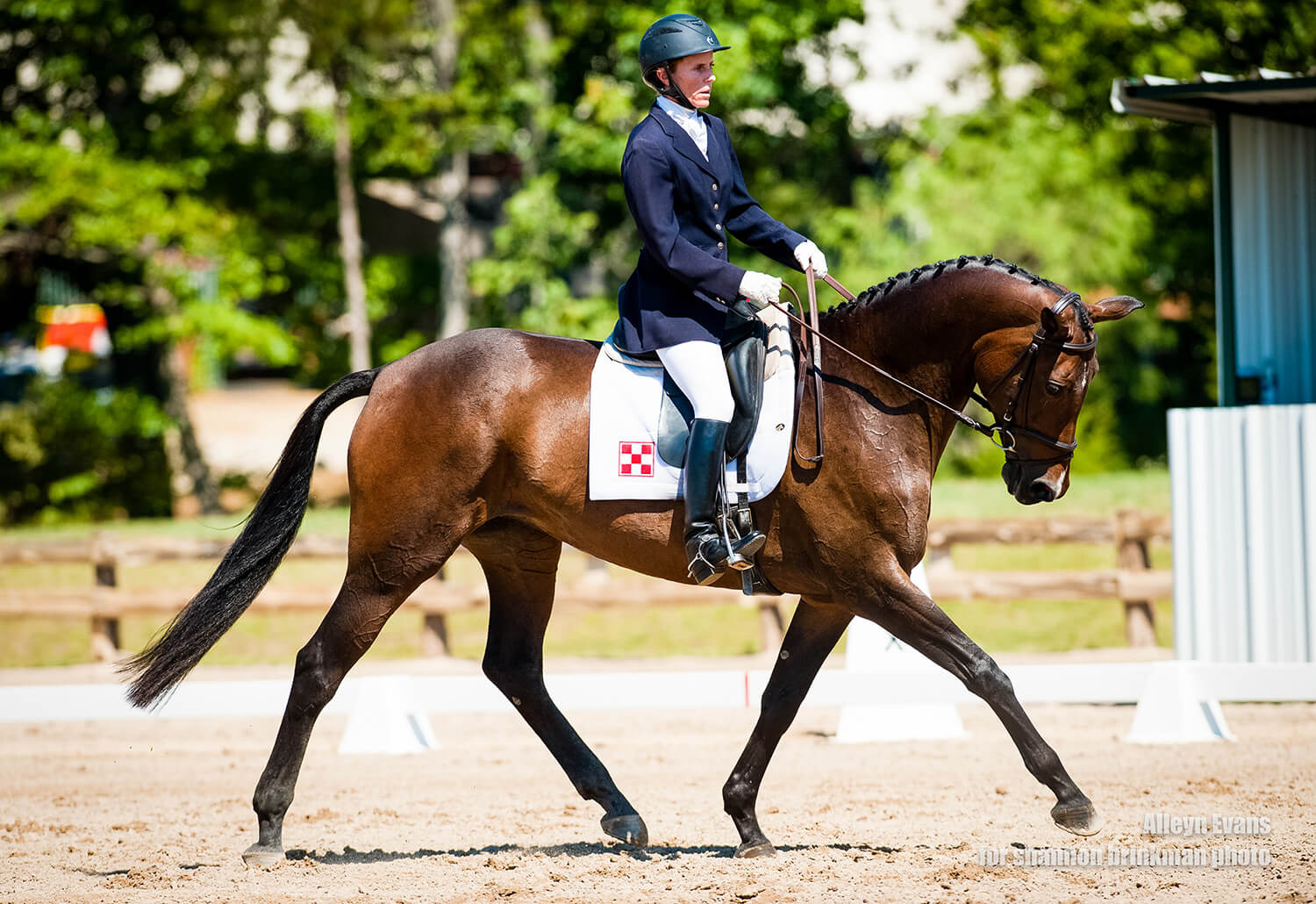 Office Hours EP-15: Eventing Q&A with Top Riders Kyle and Jen Carter ...