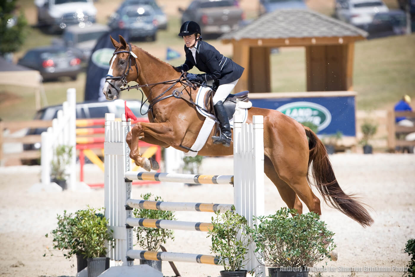 Pamela Barry's Equestrian Journey: Office Hours Ep. 18 | Ride iQ