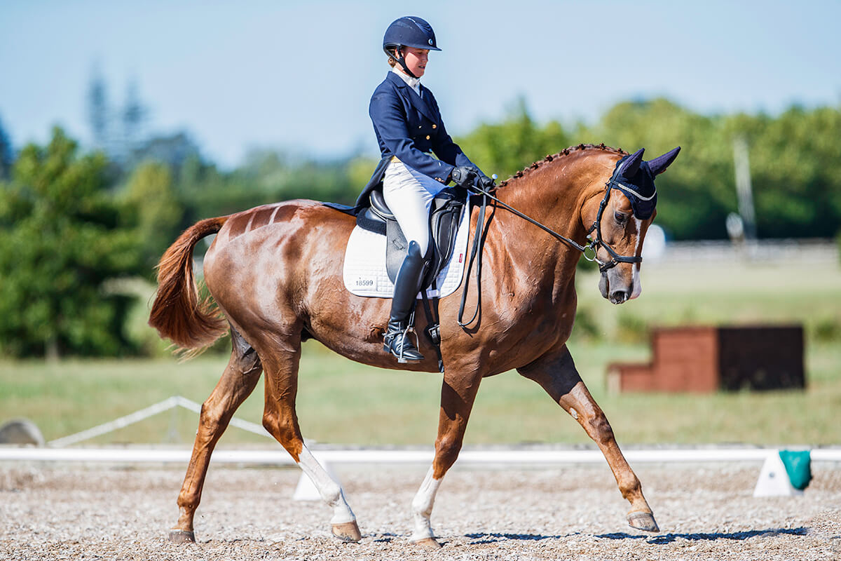 USPC x Ride iQ: Strategic Partnership for Equestrian Education | Ride iQ
