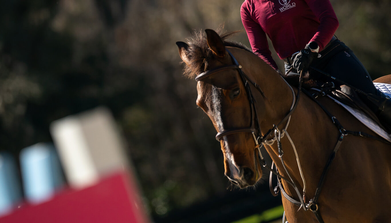 3 Best Pole Exercises for Equestrians | Ride iQ