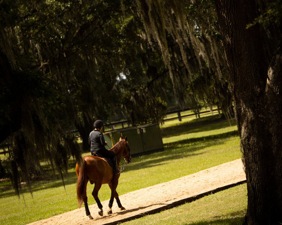 Returning to Riding Postpartum: 6 Crucial Tips | Ride iQ
