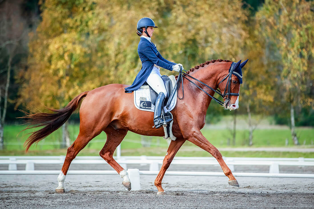 Master the 2022 USEF Intermediate Test A with Tips from Dressage Judge ...