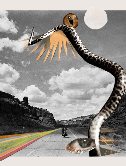 Photography | Mimi Elashiry