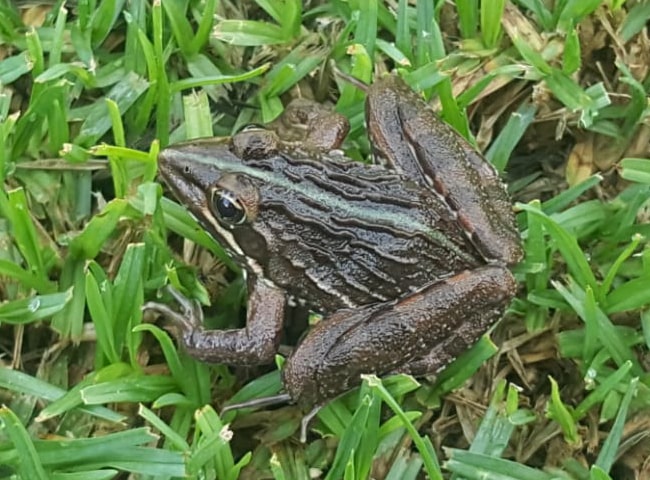 Welcome to Chartwell Conservancy