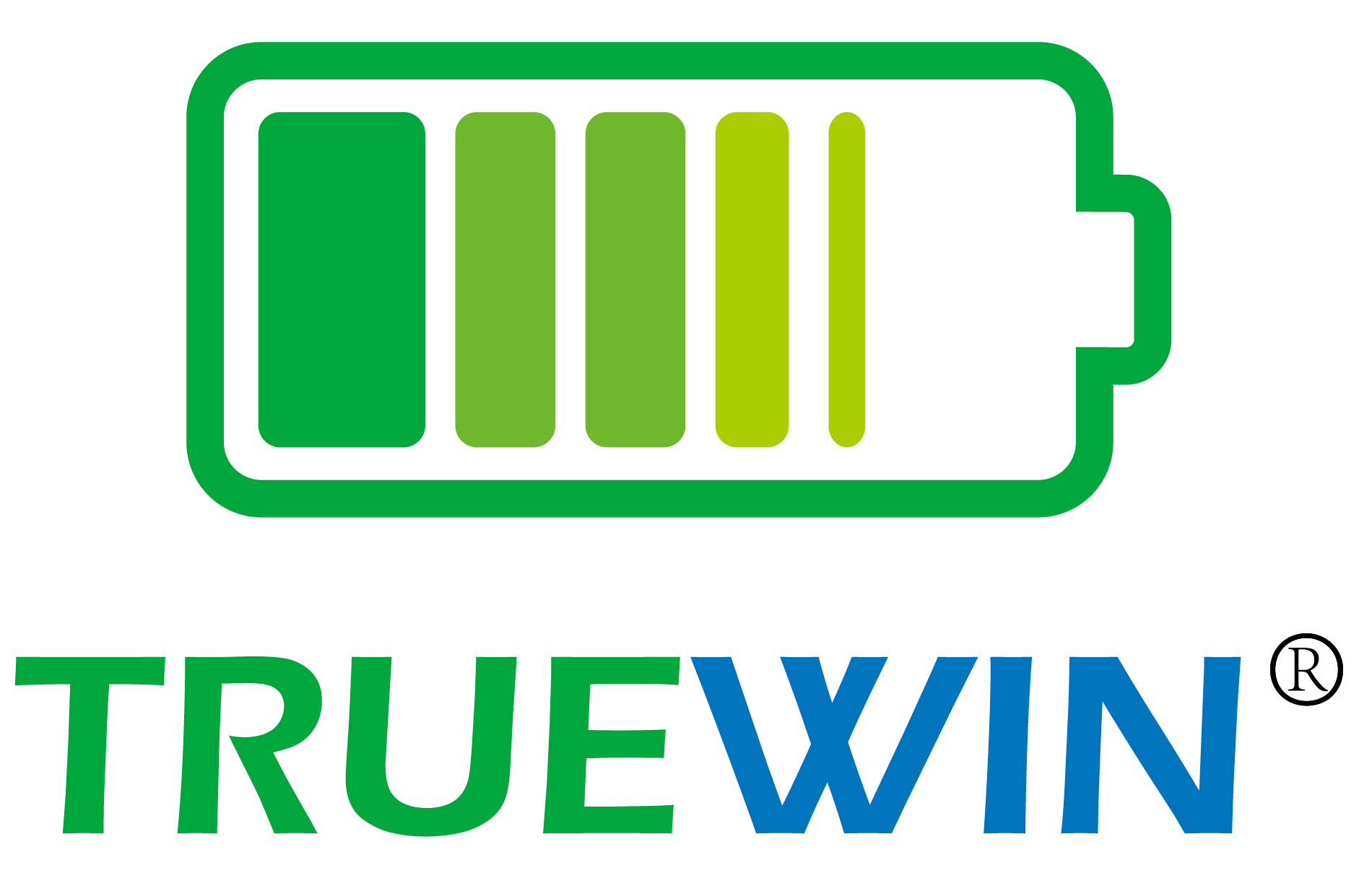 Truewin Technology - Company