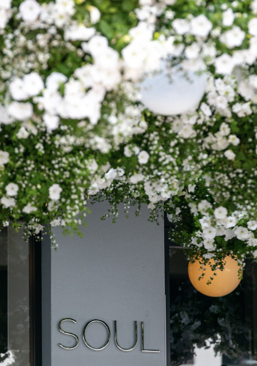 Soul Bar & Bistro | Eat & Drink | Viaduct Harbour