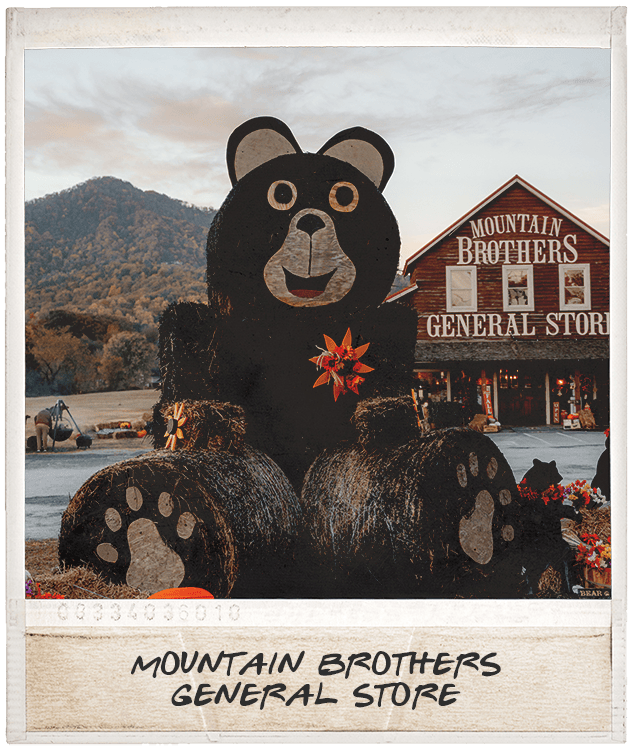 About Us - Mountain Brothers General Store