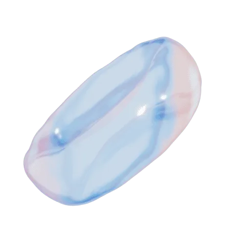 About Us - Our Mission, Vision and Values - PPTA