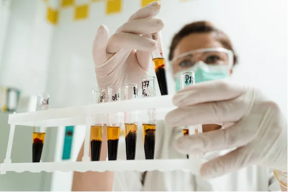 About Us - Our Mission, Vision and Values - PPTA