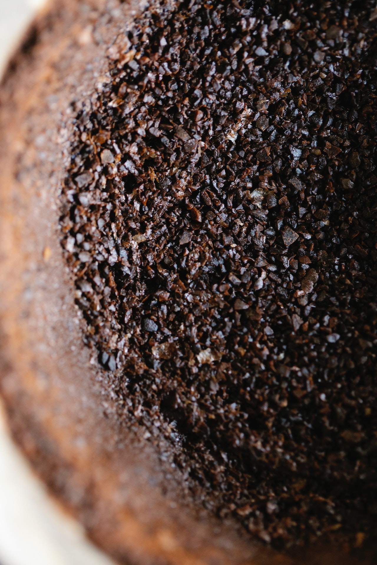 Garden with Coffee Grounds: a look at the environmental benefits