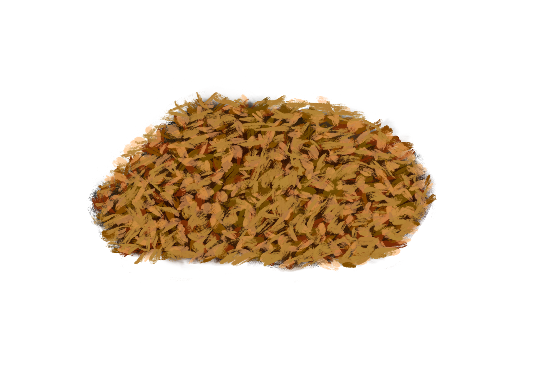 Best vegetable garden mulch types for your no-till organic garden