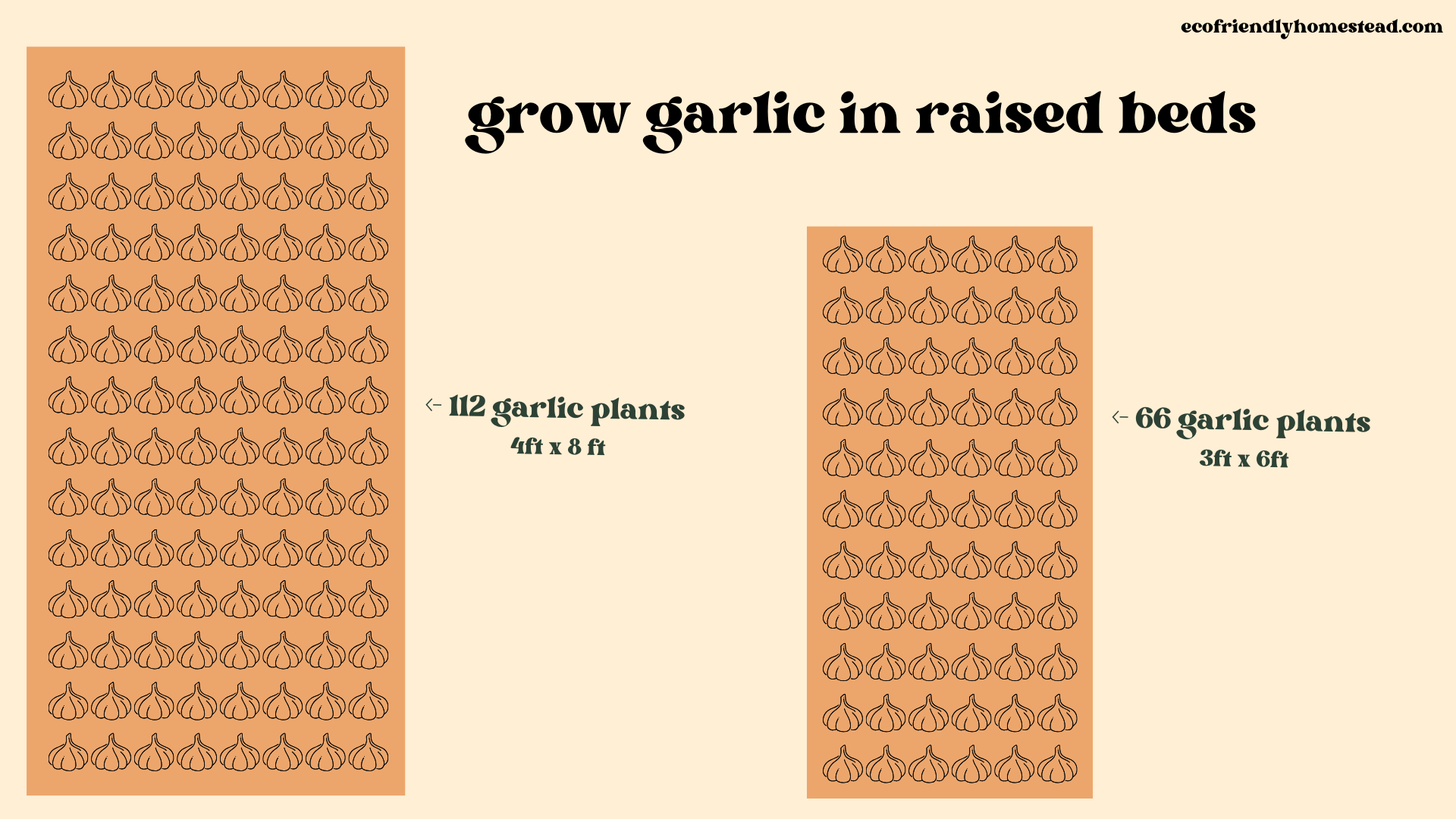 Growing Garlic: How-To Guide for Regenerative Gardeners