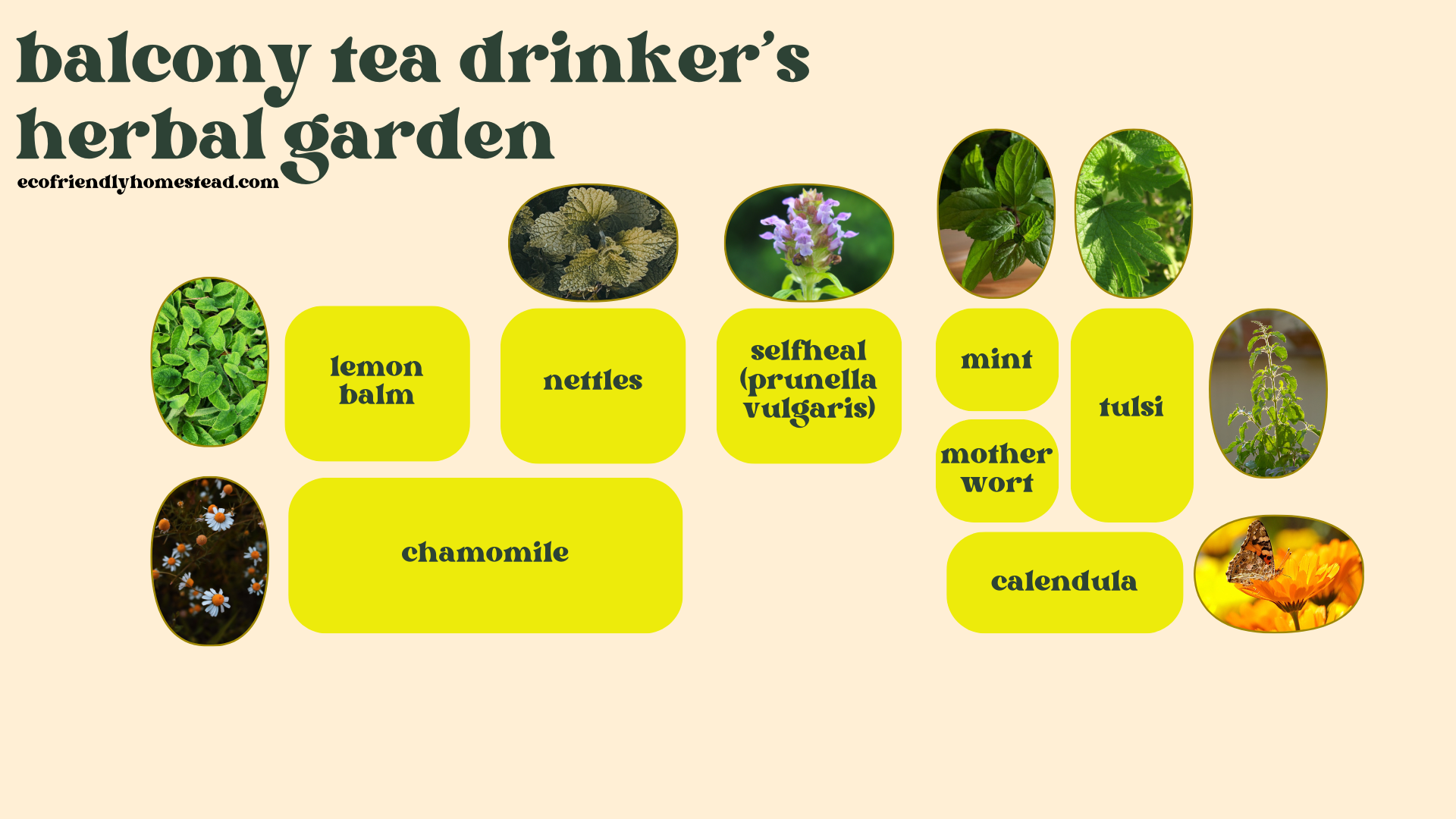 Herb Garden Ideas: Full Herbal Planting Guide (based on your goals)