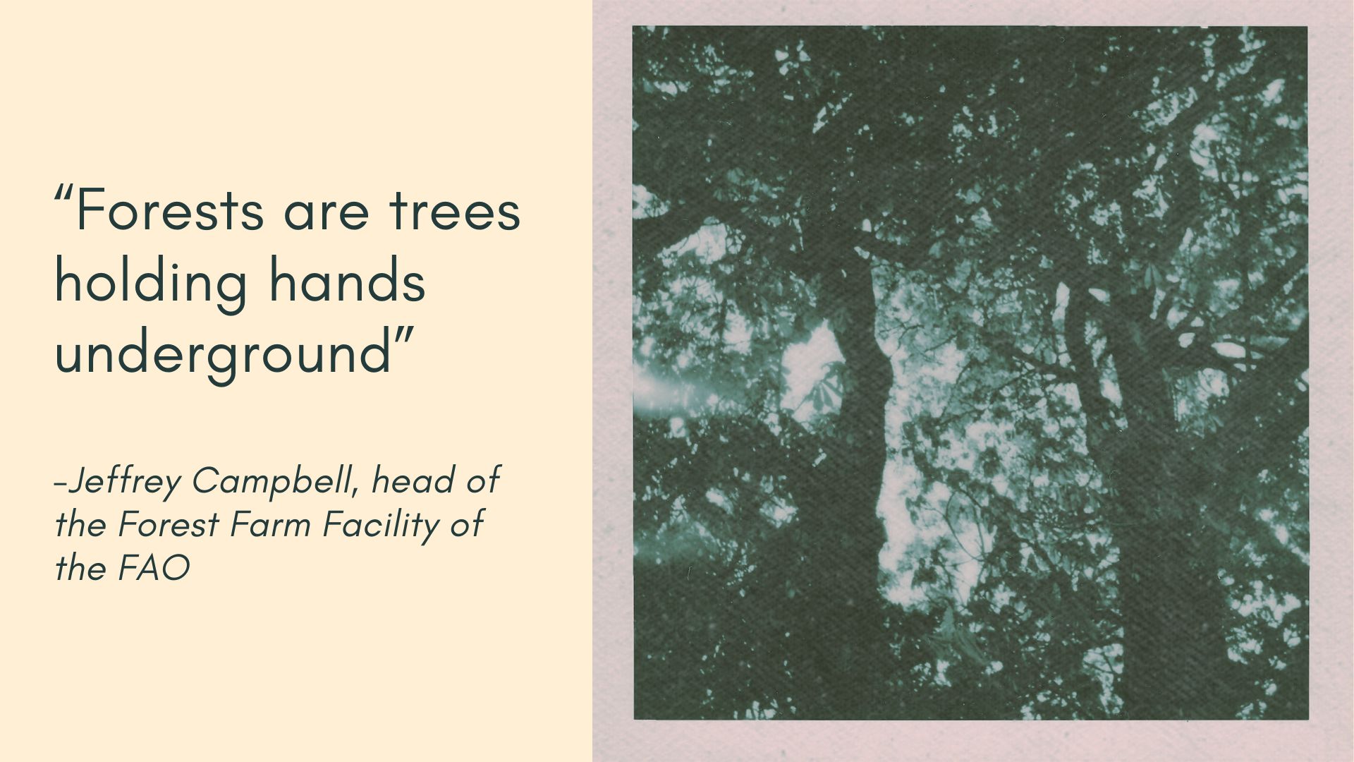 Regenerative Gardening Quotes to Inspire You as a Land Steward