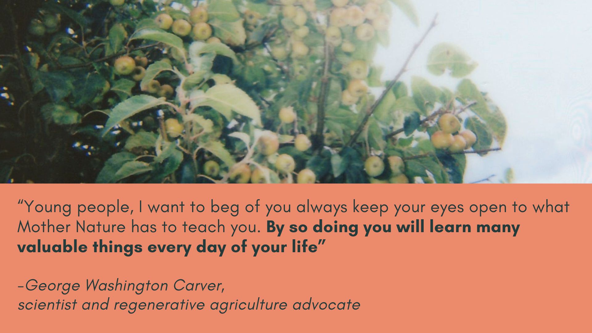 Regenerative Gardening Quotes to Inspire You as a Land Steward