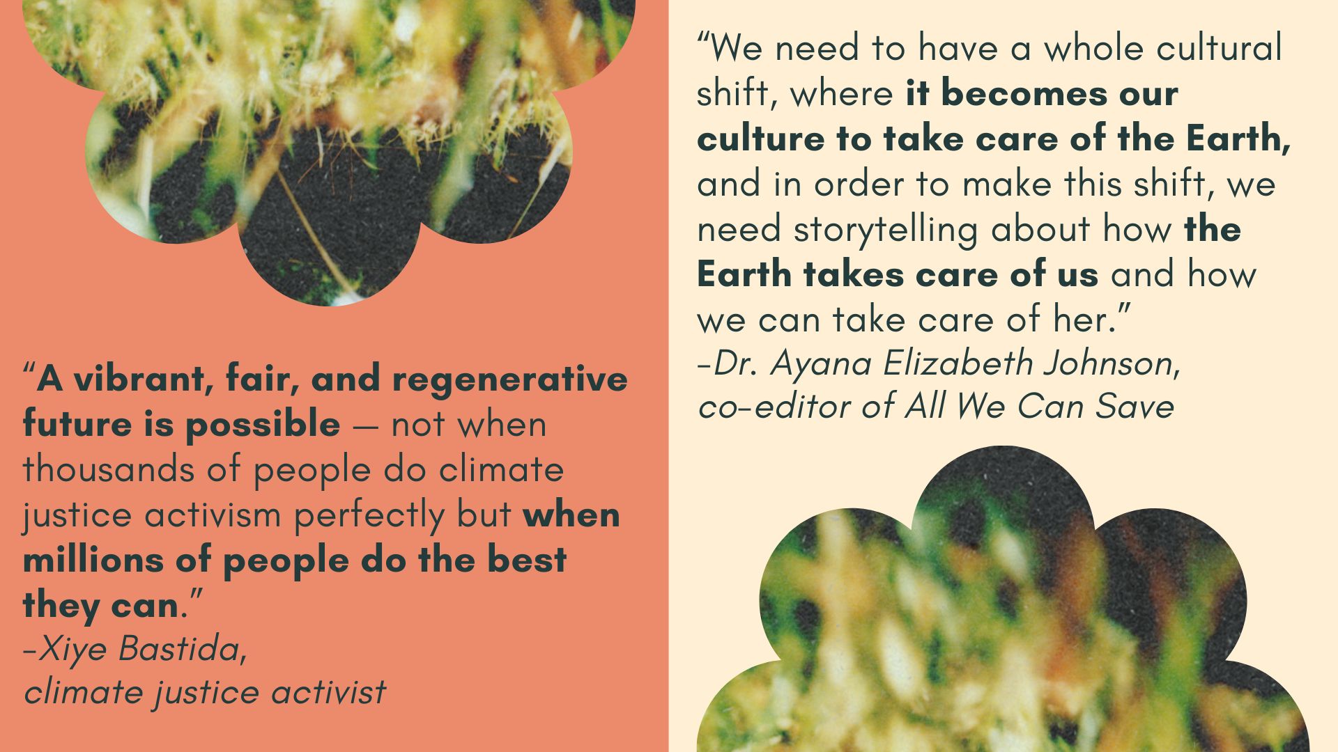Regenerative Gardening Quotes to Inspire You as a Land Steward