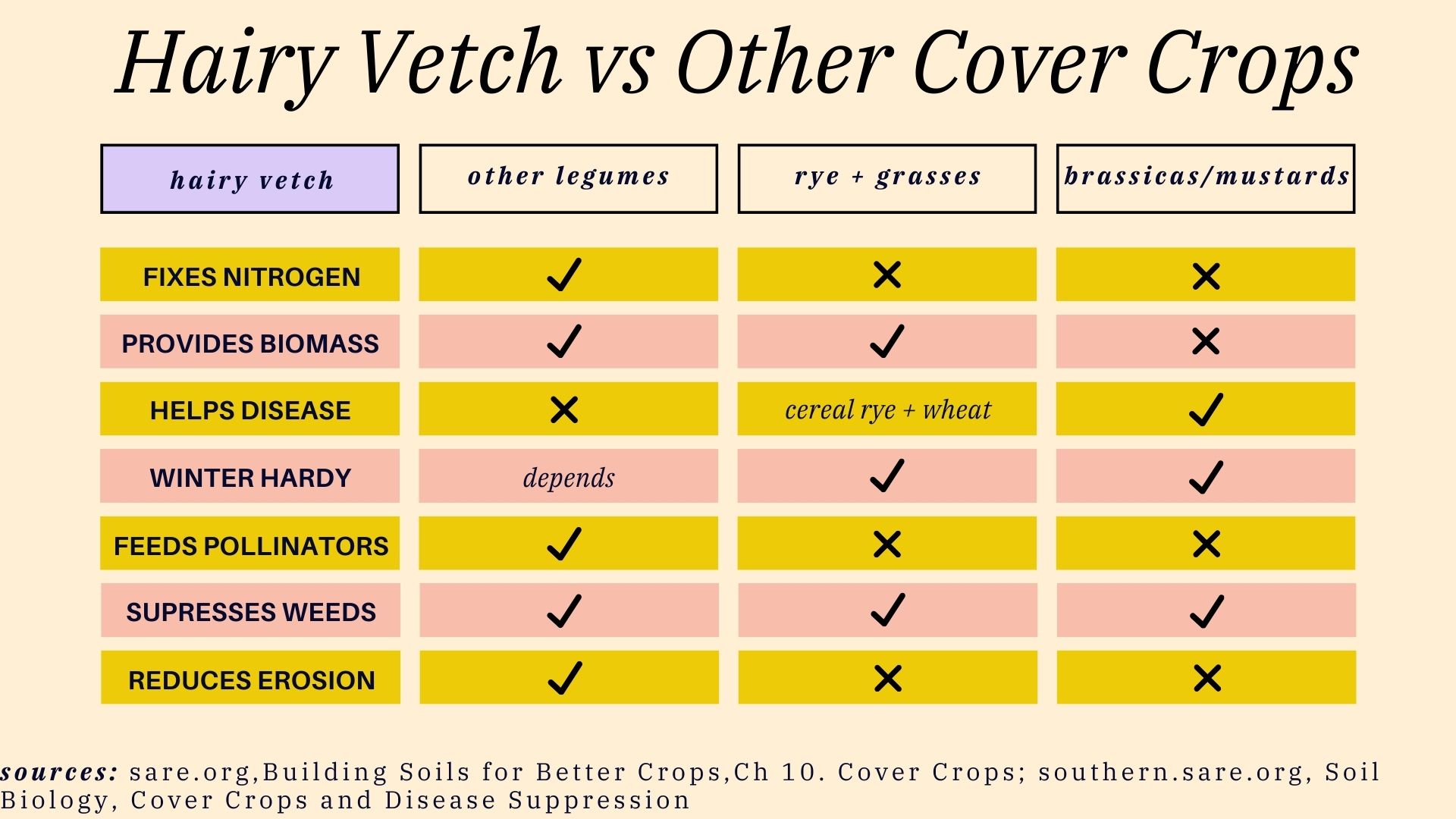 7 Key Advantages of Hairy Vetch: The Go-To Cover Crop for No-Till Gardens