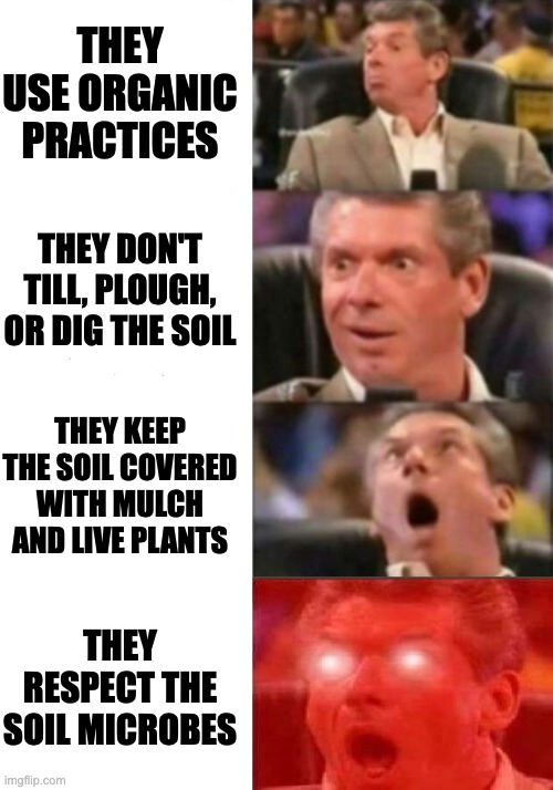 The Role of Regenerative Agriculture in Carbon Sequestration