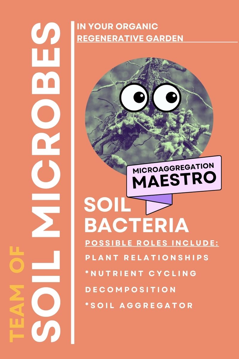 The Role of Soil Microorganisms in a Sustainable and Thriving Garden