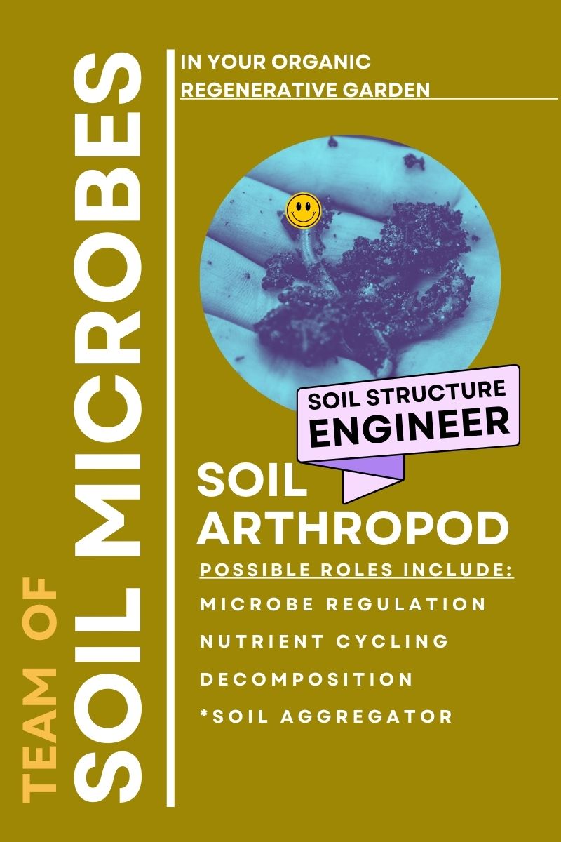 The Role of Soil Microorganisms in a Sustainable and Thriving Garden
