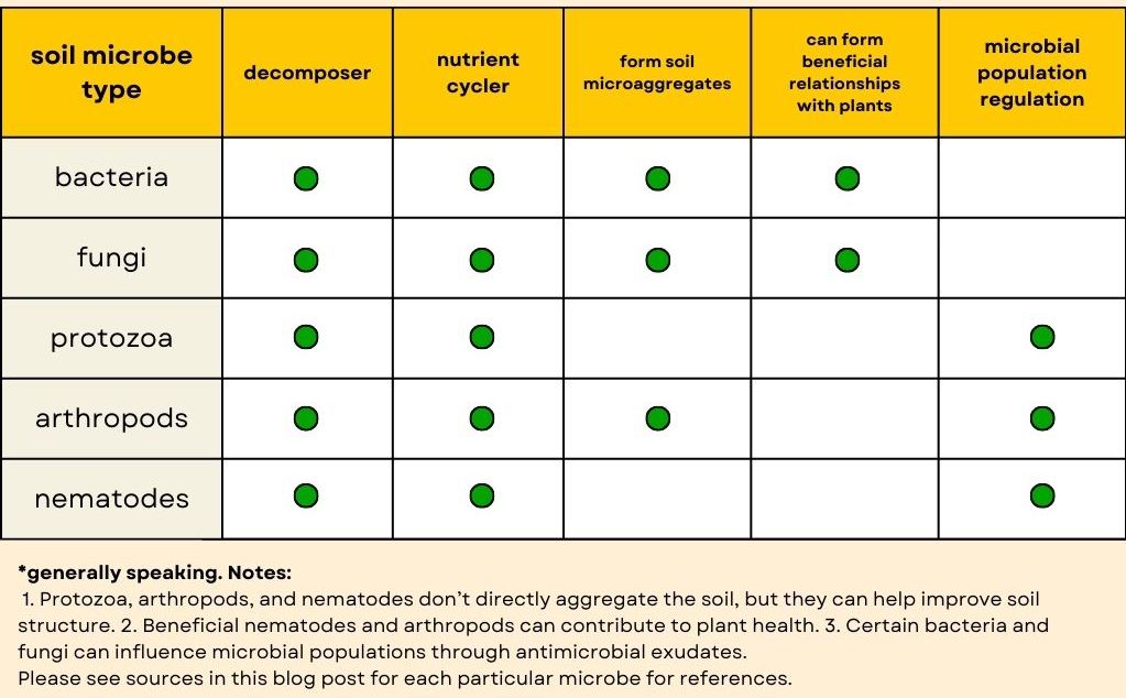 The Role of Soil Microorganisms in a Sustainable and Thriving Garden