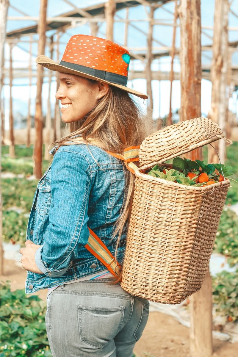 Strawberry Garden Guide: 10 Proven Methods for Your Best Harvest Yet