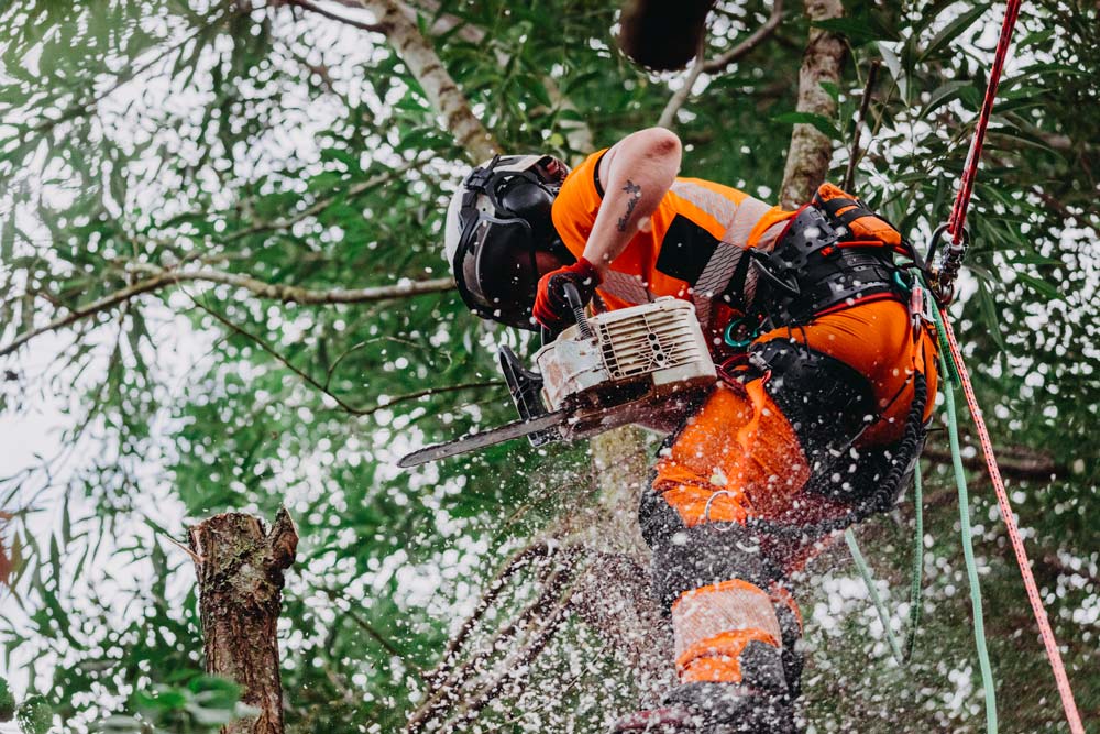 COOMBES Group - On-Track Plant