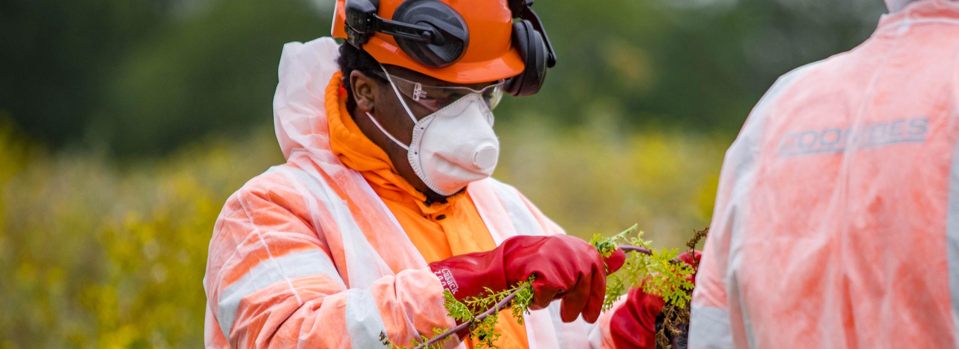 COOMBES - Invasive Weed Surveys and Remediation