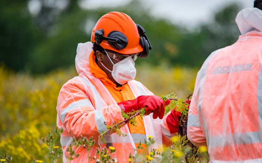 COOMBES - Invasive Weed Surveys and Remediation