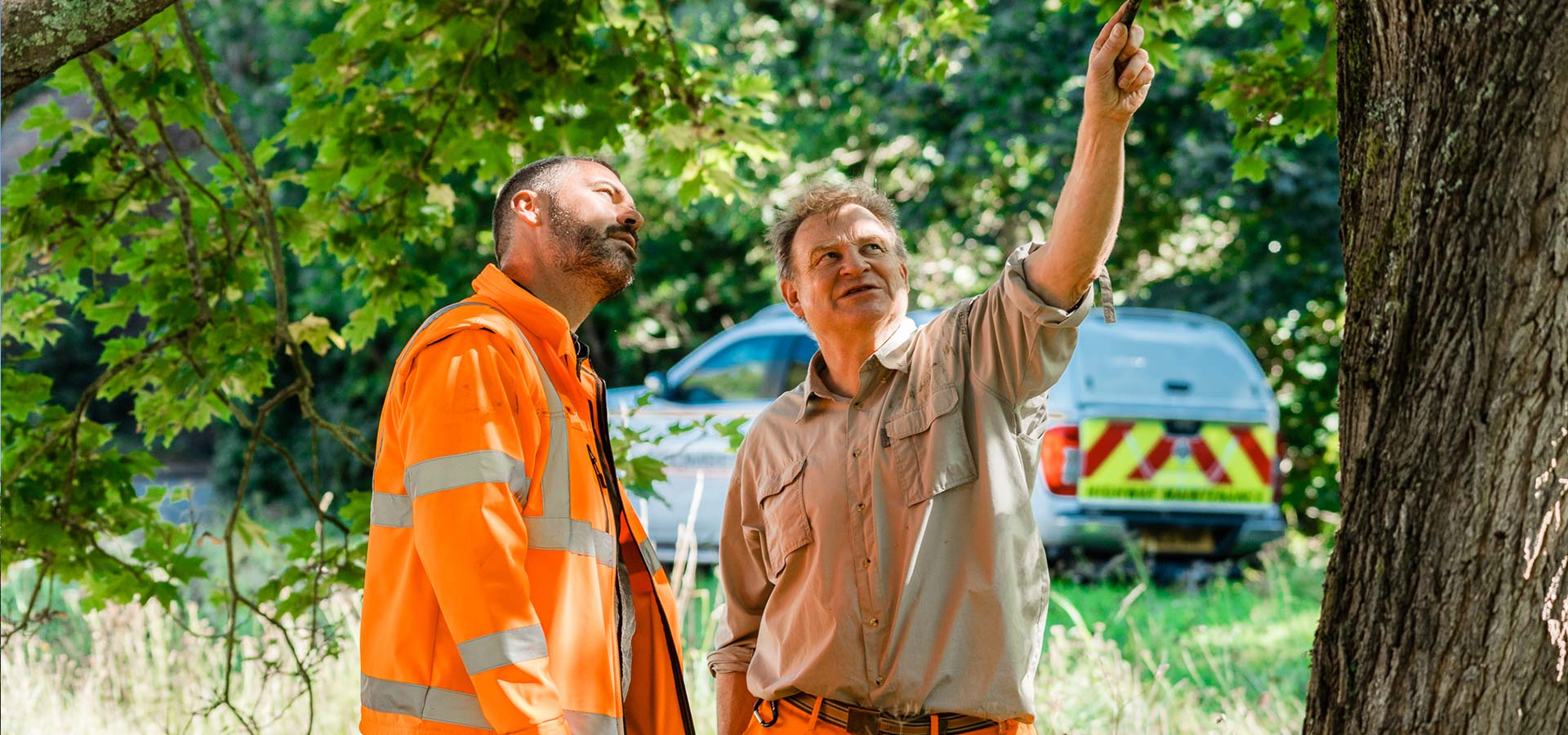 COOMBES - Tree Surveys and Inspections