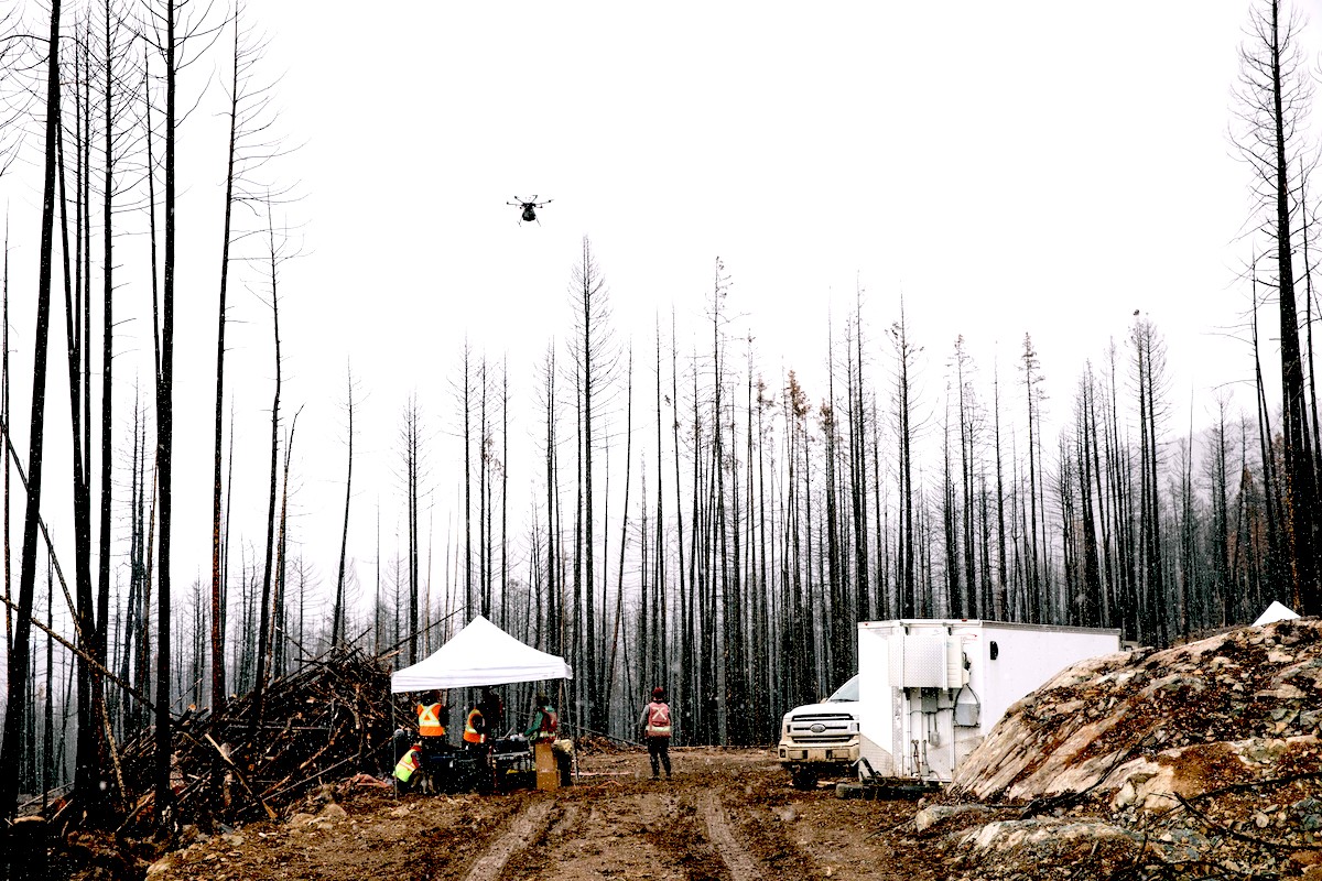 Canadian Flash Forest Challenged to Plant 1 bln Trees by 2028 with the ...