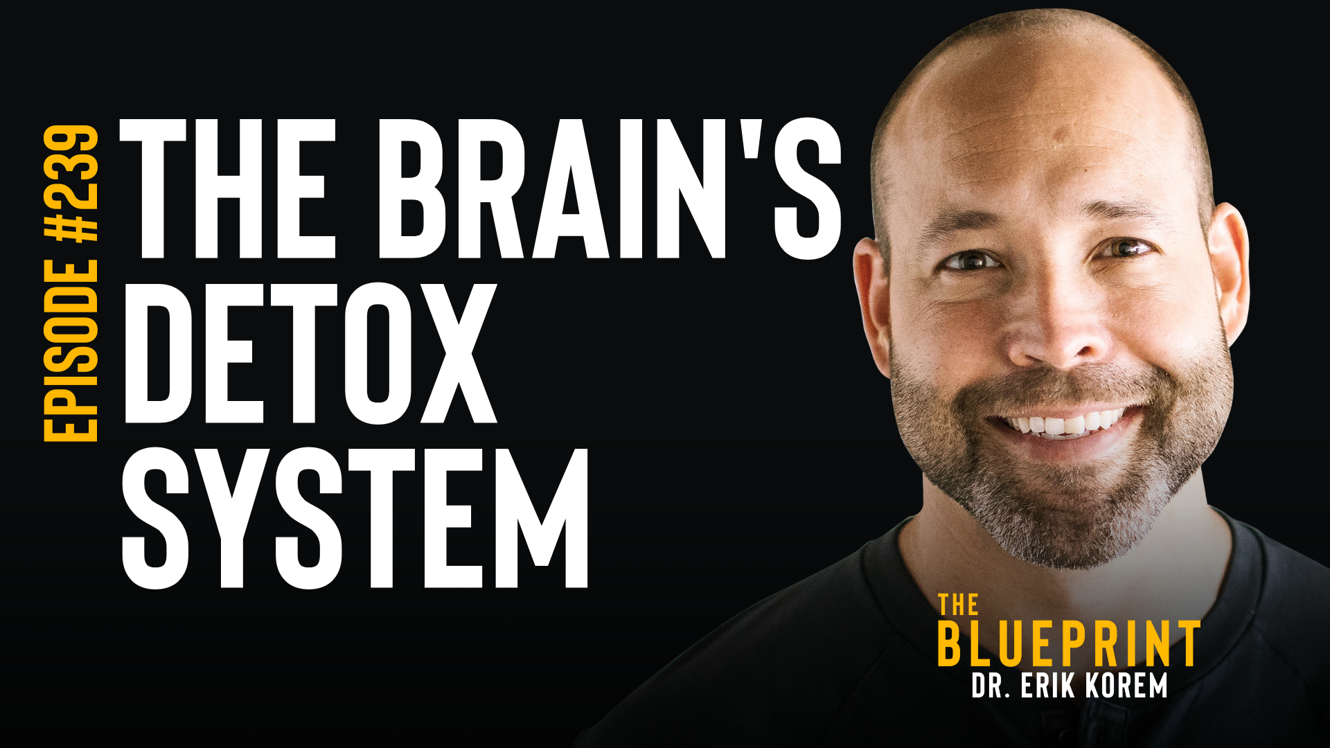 Your Brain's Detox Path: The Glymphatic System | AIM7