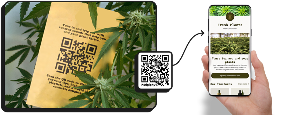 Digiphy QR Code for Cannabis