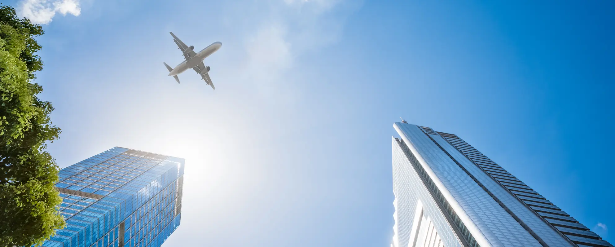 Flight Class and Its Impact on Your Carbon Footprint