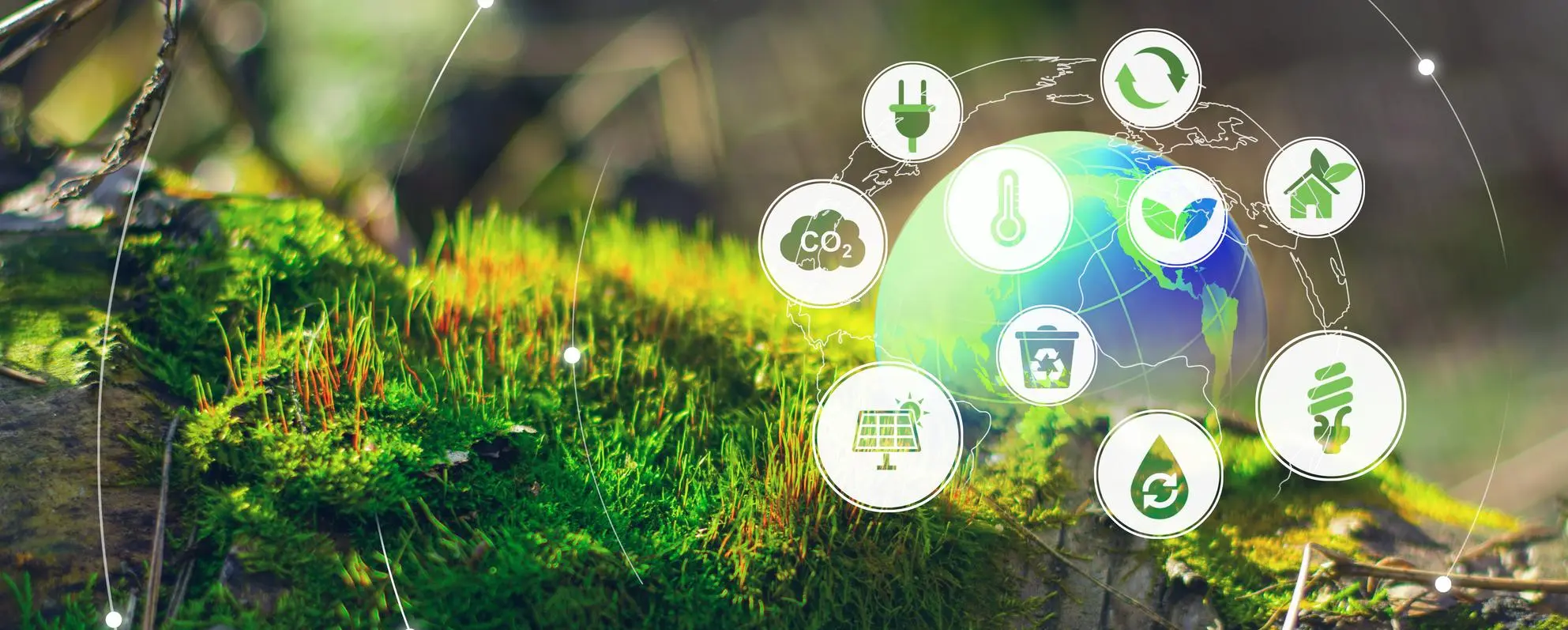 Sustainability Terms Defined