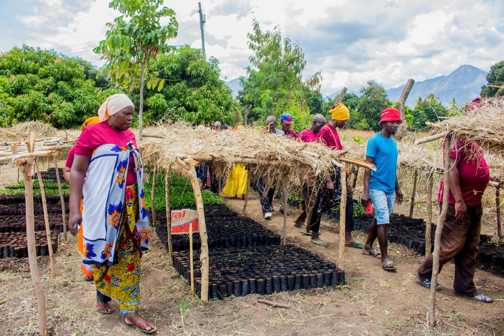 Community fights climate change