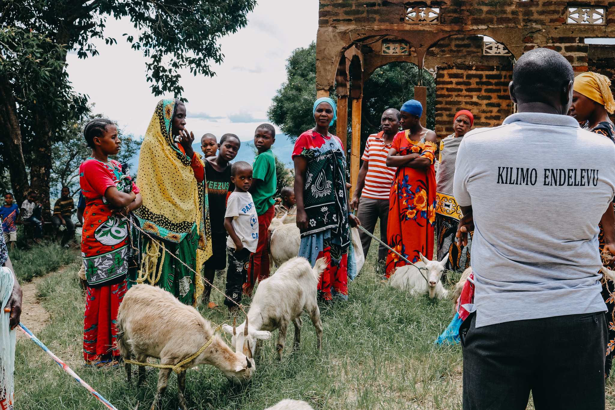 GOATS CHANGING LIVES AND FARMERS COMMUNITIES
