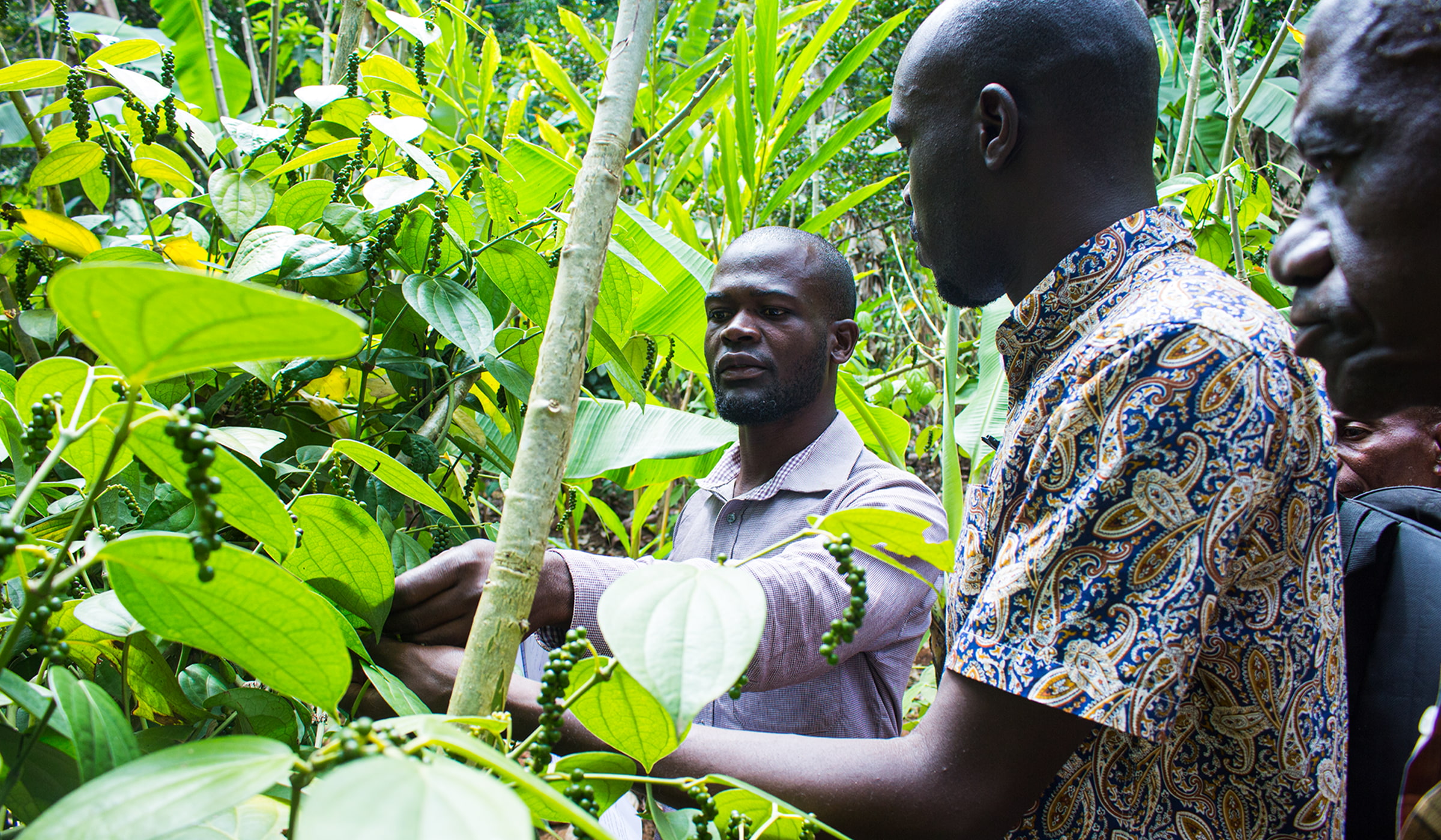 9th Workshop for participatory design (WPRD)