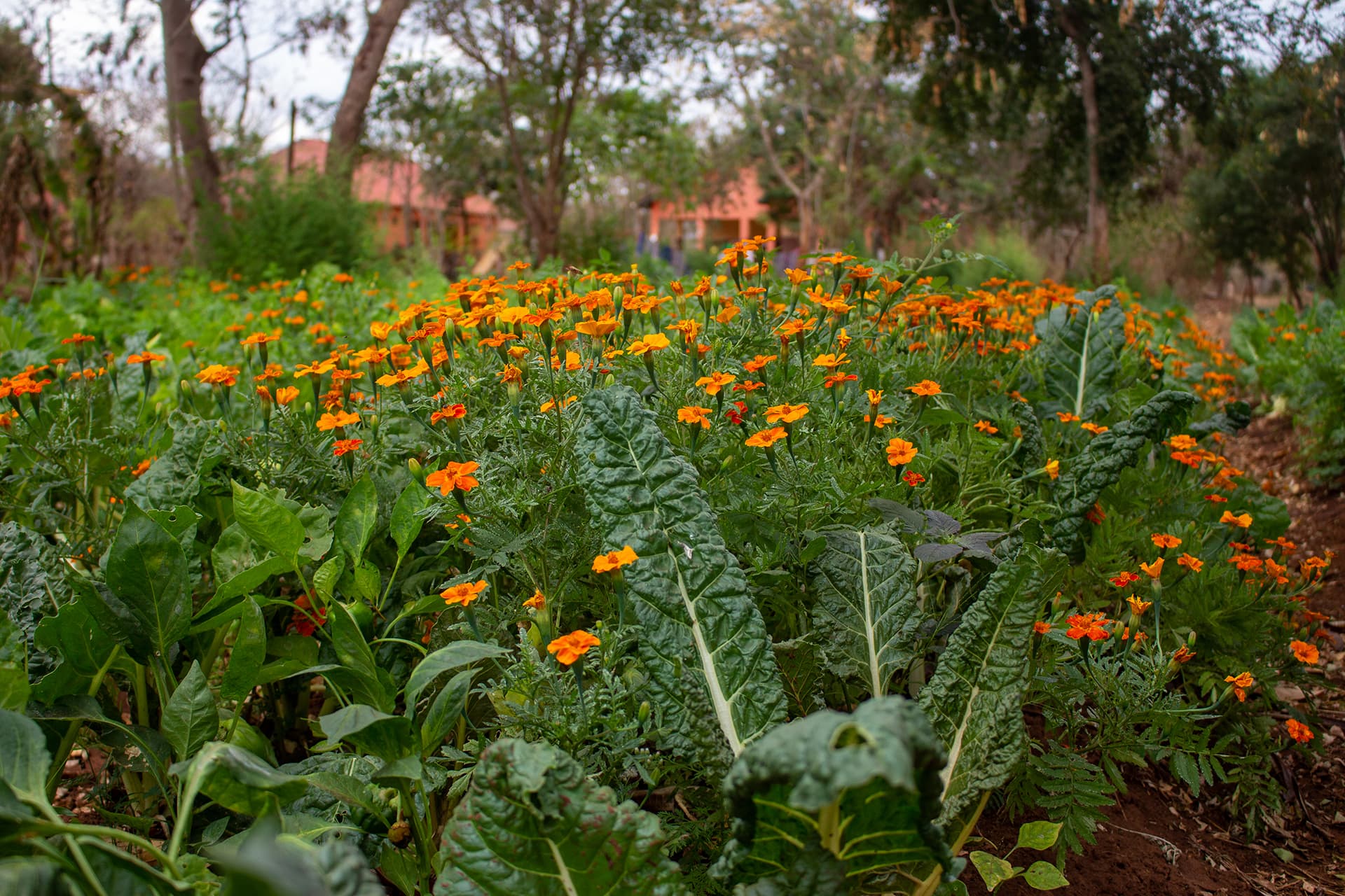 Farmer Training Centre