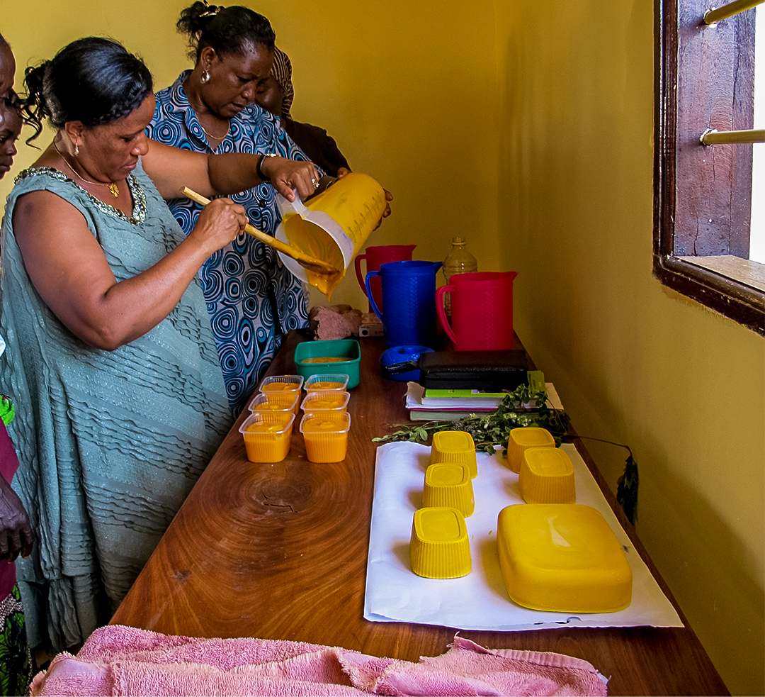 Food Processing and Value Addition