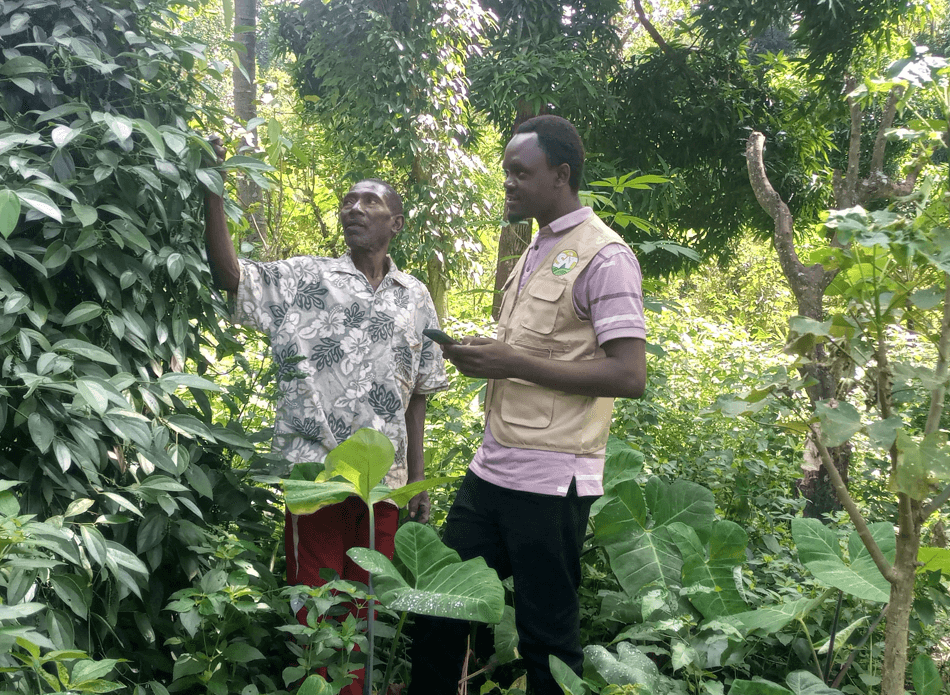 Revolutionizing Agriculture with SAT Data Management Software