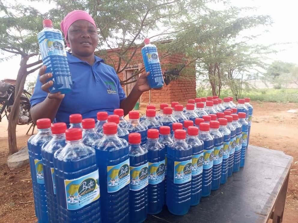 Empowering Women in Rural Tanzania: Spotlight on Dodoma’s Women in ...