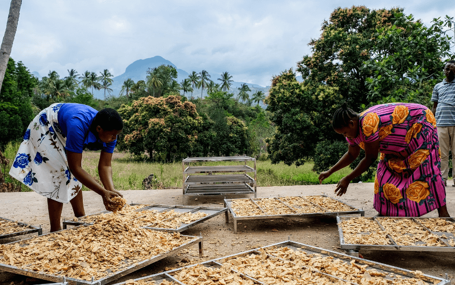 ORGANIC VALUE CHAIN DEVELOPMENT (OVCD) PROJECT