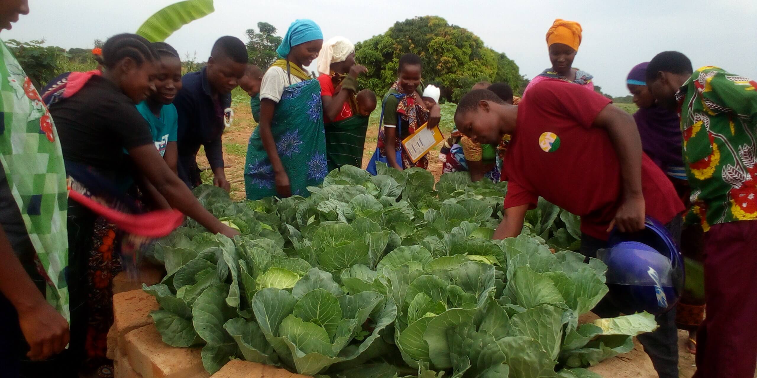Sustainable Agriculture Tanzania