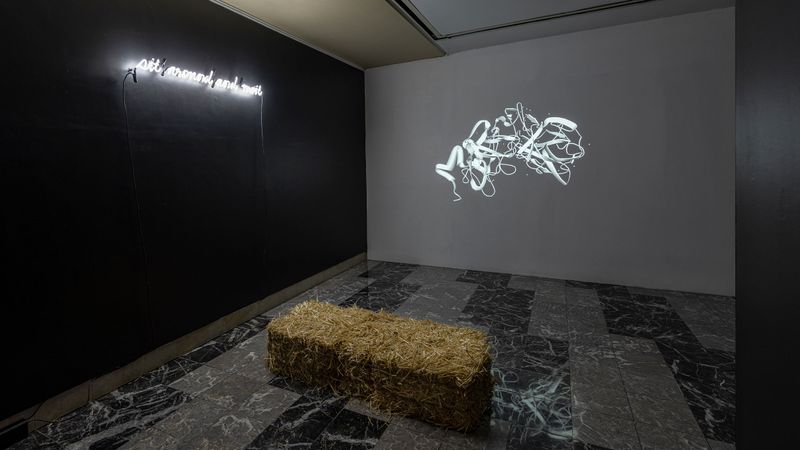 Projects: Artworks & Exhibitions • Laura Splan