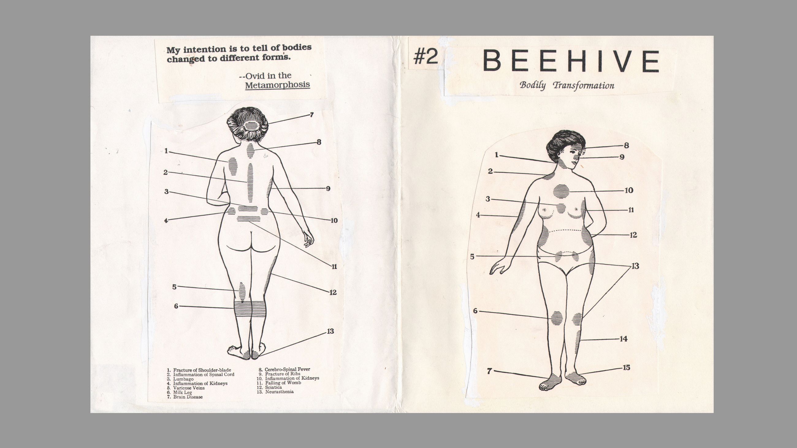 Beehive • Laura Splan