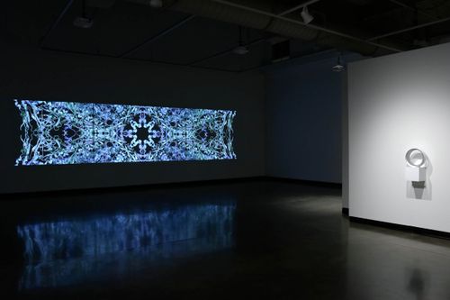 Laura Splan: Artist, Speaker, Collaborator | Art + Science + Technology